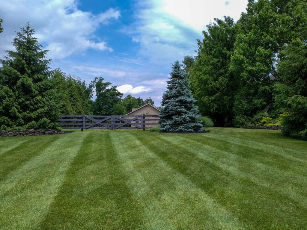 Why Mowing Height Matters More Than You Think | Rooted Lawn & Landscape